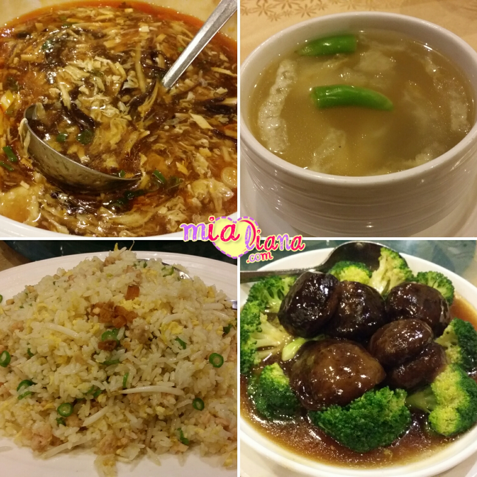 'Eat All You Can' Promotion | Qing Palace Pulai Springs Resort Johor Bahru