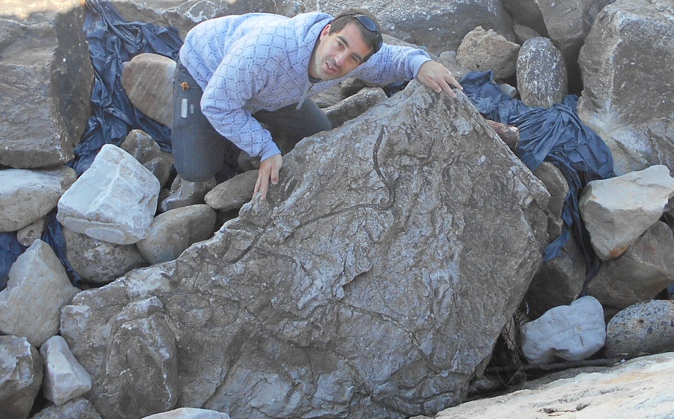 Noticias de Paleontologia: Palaeophycus vulgaris. Rastros de un gusano ...
