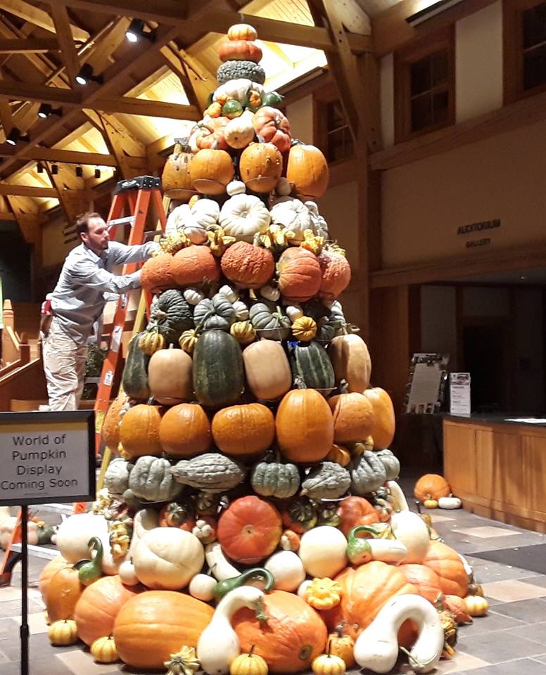 Comparing 330 Unique Pumpkins at the Horticulture Research Center