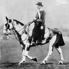 Guia da Bombacha: Gato e Mancha/Gato y Mancha