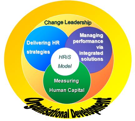 HRIS was Mine: Reflection on “Globalizing HRIS: Moving to a ...