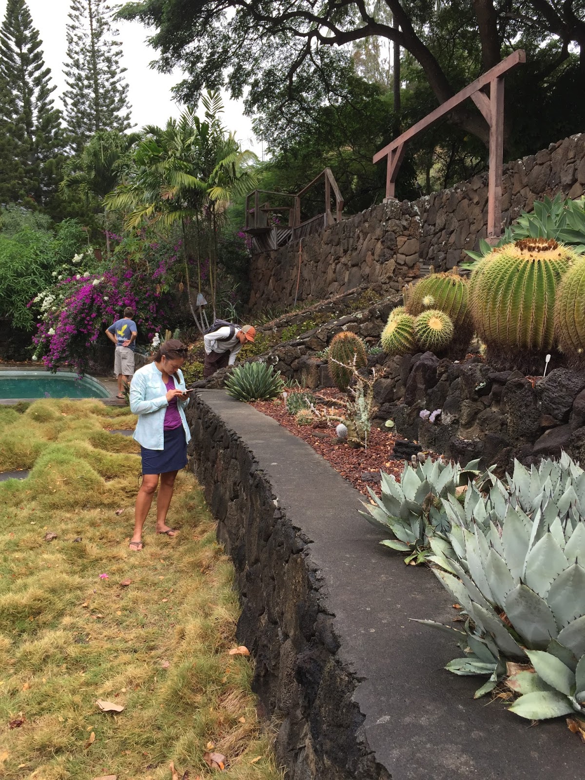 The Succulents and Pottery Compulsion: CSSH Open House - Karl Seff