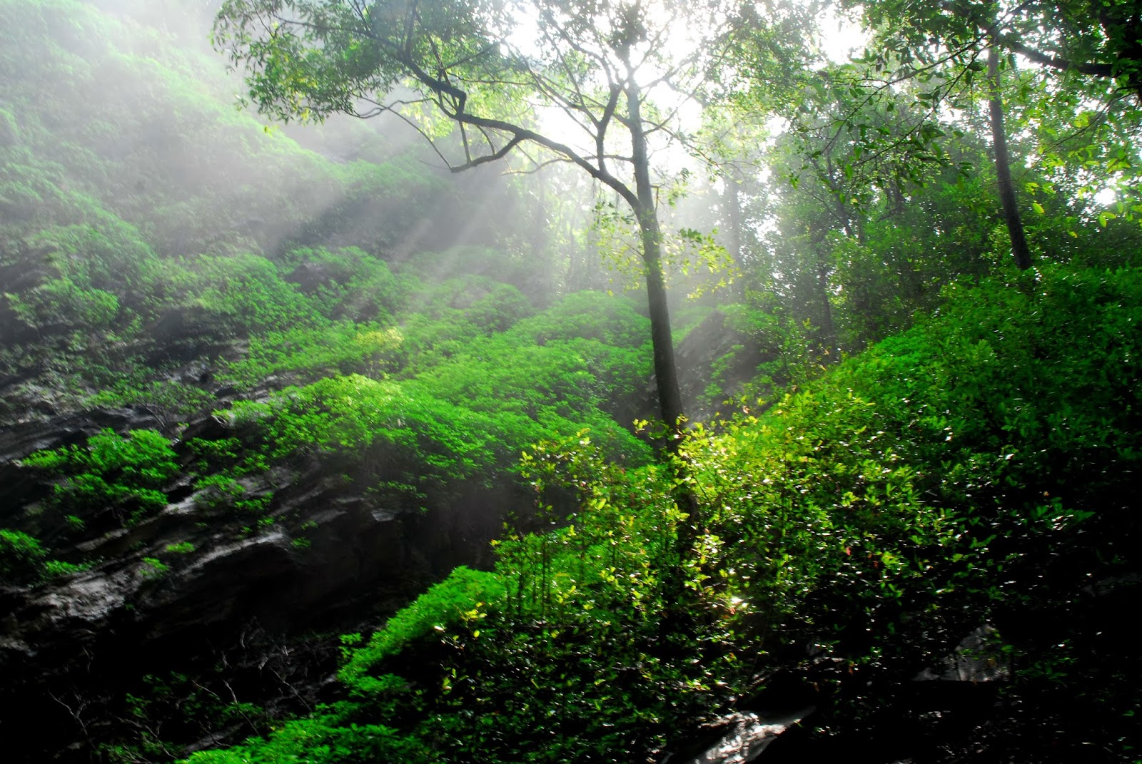 VISWANATH S: SEETHANADI-HEBRI-2013