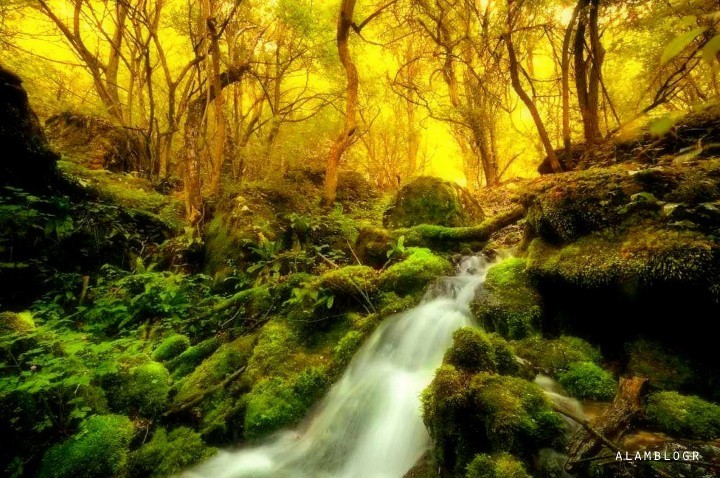 Keindahan Alam Mempersonakan Dan Menakjubkan - AlamBlogr