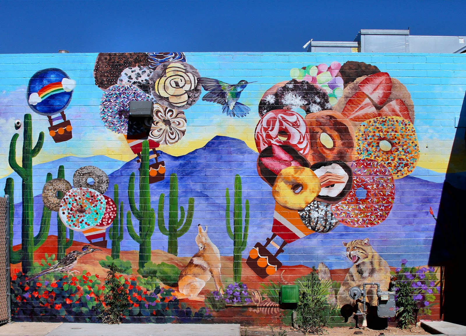 The Tucson Murals Project: Amy's Donuts