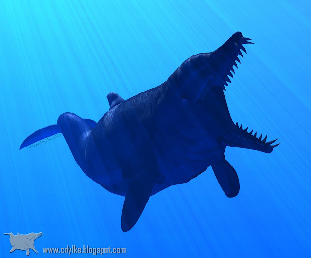 Craig Dylke's Prehistoric Art: Squalodon 2012