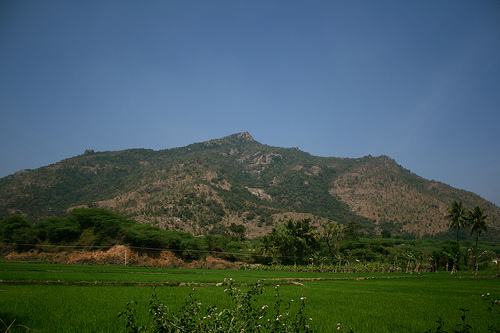 Tamilnadu Tourism: Amirthi Forest & Zoological Park, Vellore