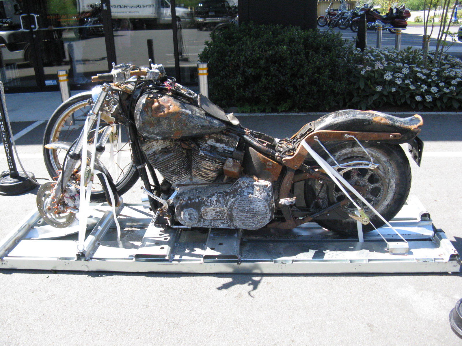 V-Twin News: Tsunami Motorcycle To Be Preserved By H-D Museum