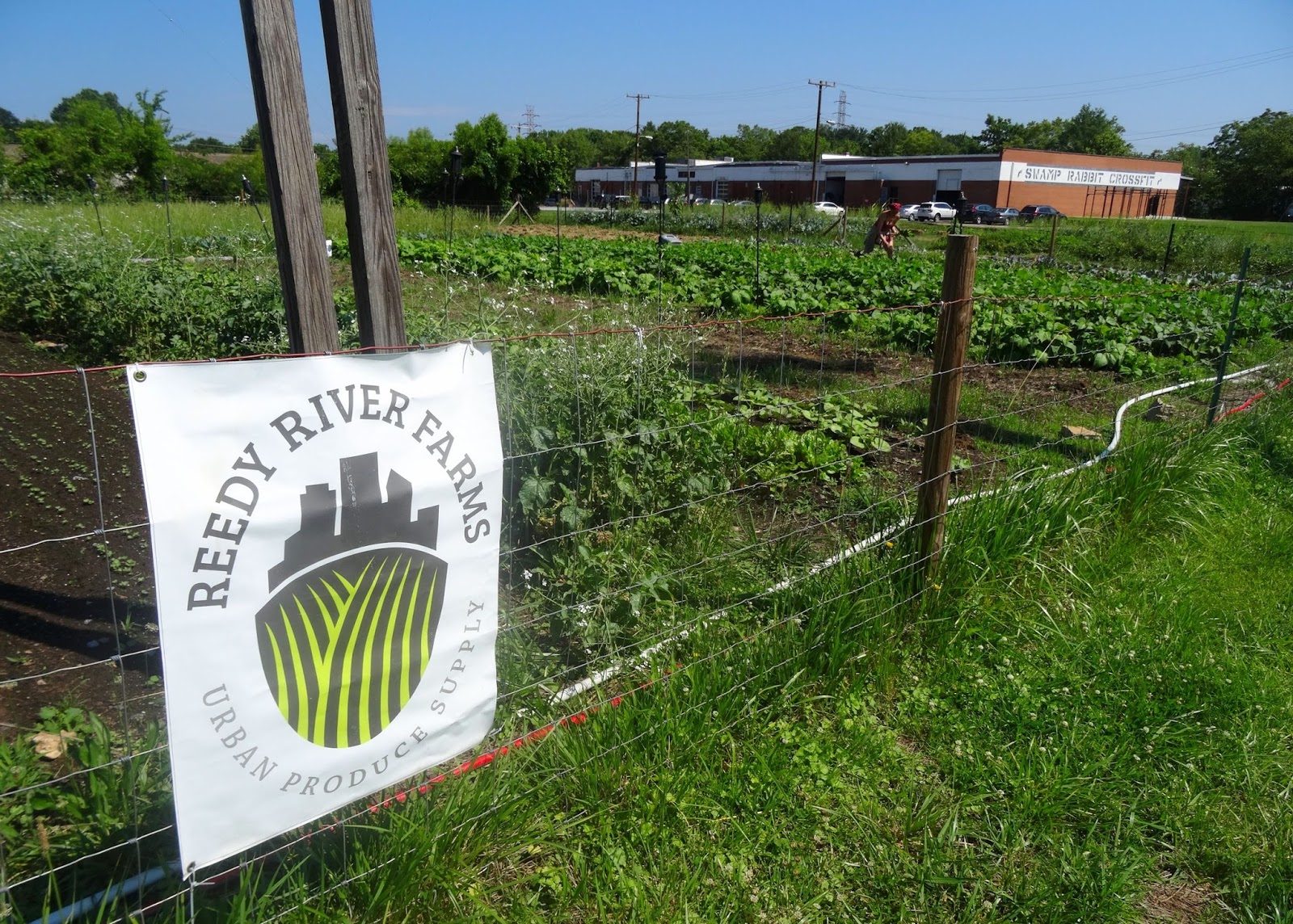 Femme au foyer: Reedy River Farms in downtown Greenville