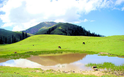 SHOGRAN VALLEY PAKISTAN ~ Lovely Pakistan