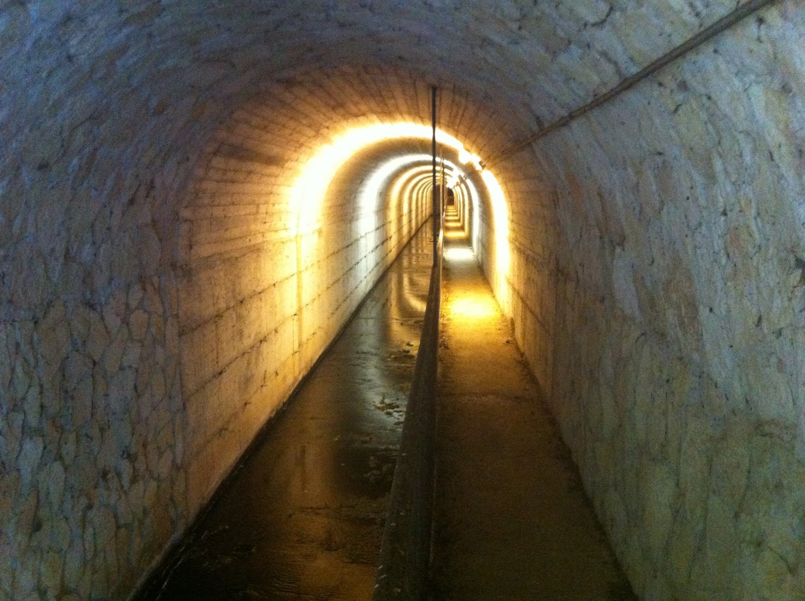 Secondo me sinologia 汉学与疯狂：体现当代中国 Sinology's Not Dead: La Botte dei ...