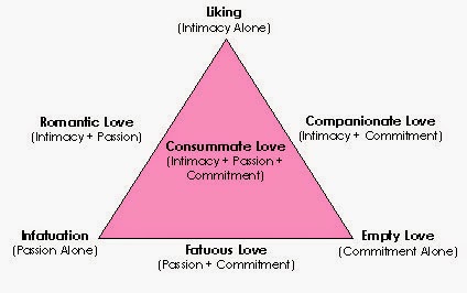The Love Triangle: Love Bug?: Theories Of Love & Intimate Relationships.
