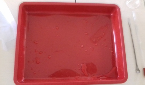 Biology.edu Fiswan 2: Laporan Praktikum Fisiologi Hewan ke-3