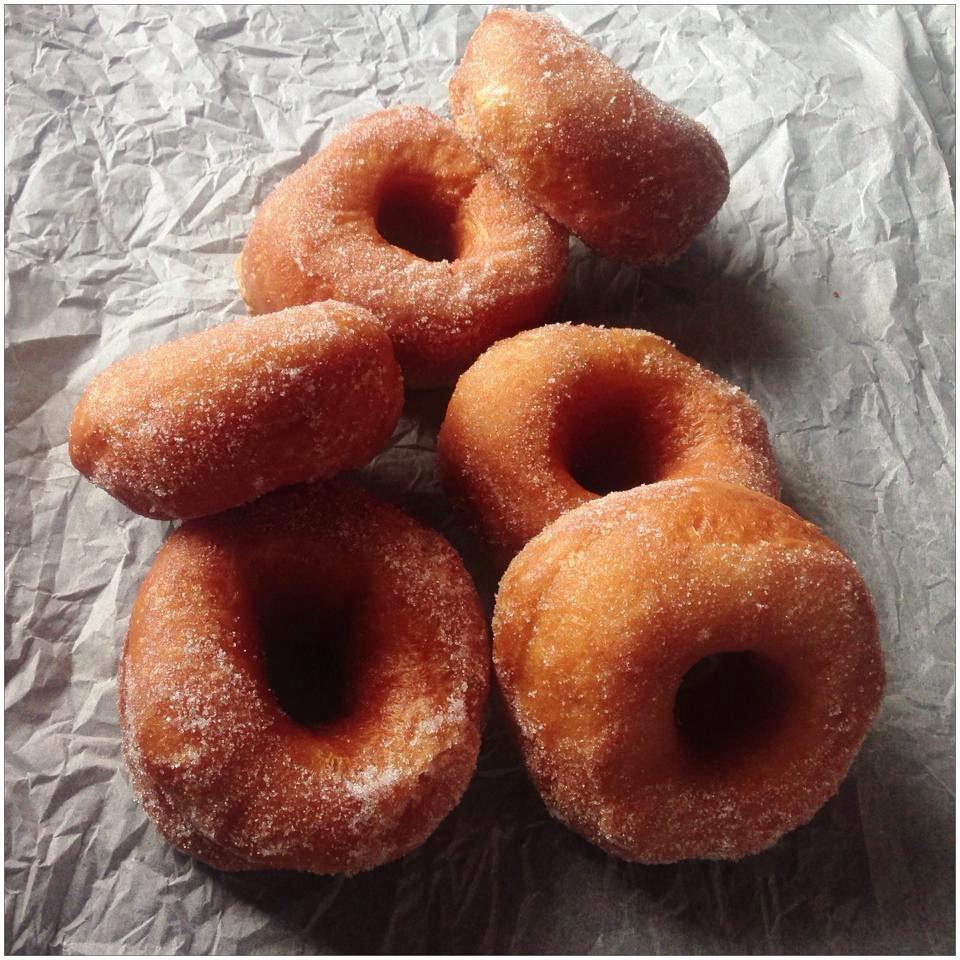 The Game Bird Food Chronicles: Ring Doughnuts