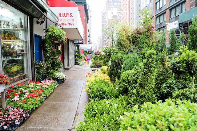 New York State of Mind: New York Flower District