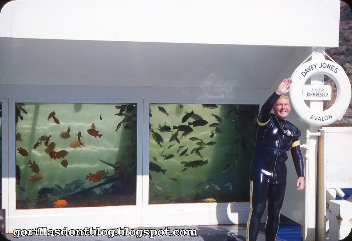 GORILLAS DON'T BLOG: Davey Jones' Locker, Catalina Island - September 1958