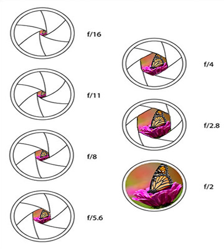 Aperture Lesson - CVHS Photography