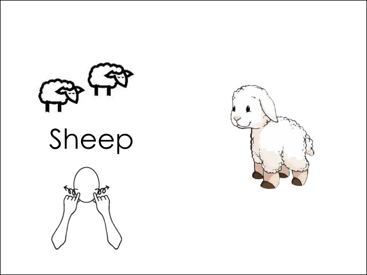 All Play On Sunday: Makaton Christmas Story Cards