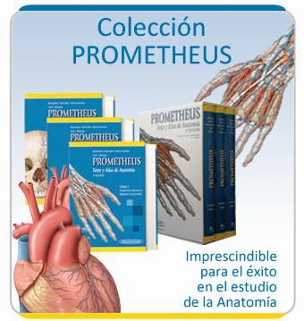 LIBROS DE MEDICINA : PROMETHEUS TEXTO Y ATLAS DE ANATOMÍA TRUE PDF 3 TOMOS