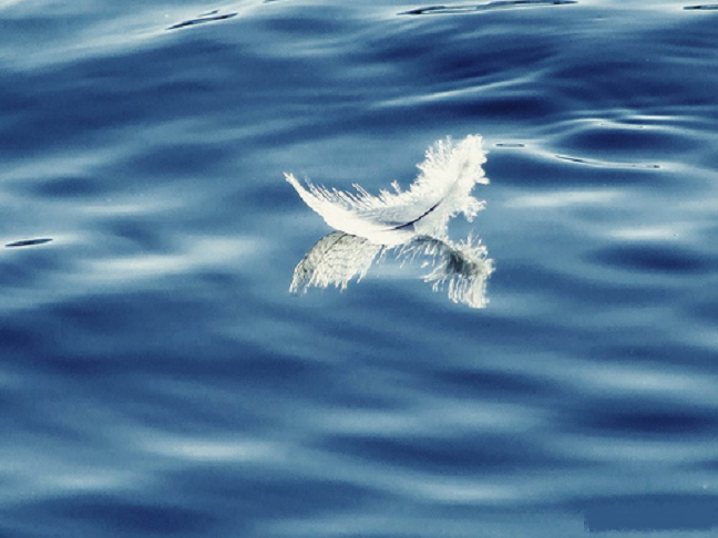 ☆Mágico y Celestial☆: La Pluma de un Ángel