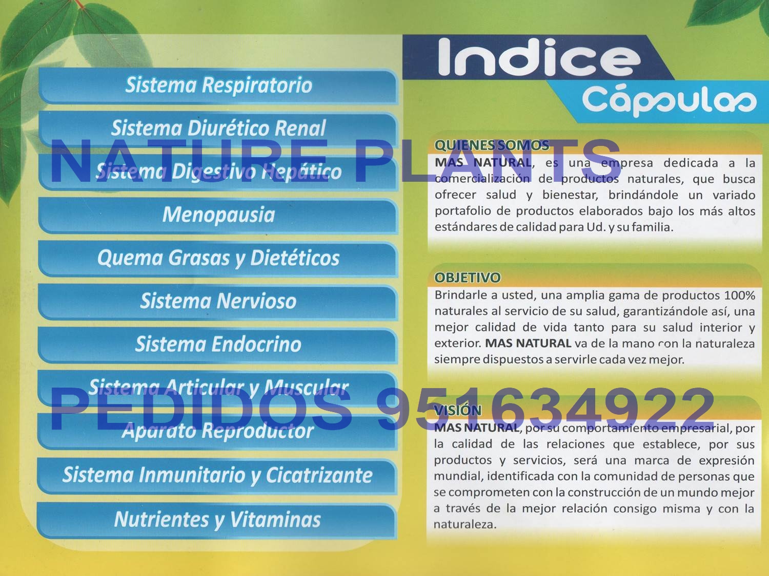 MAS NATURAL CATALOGO CAPSULAS