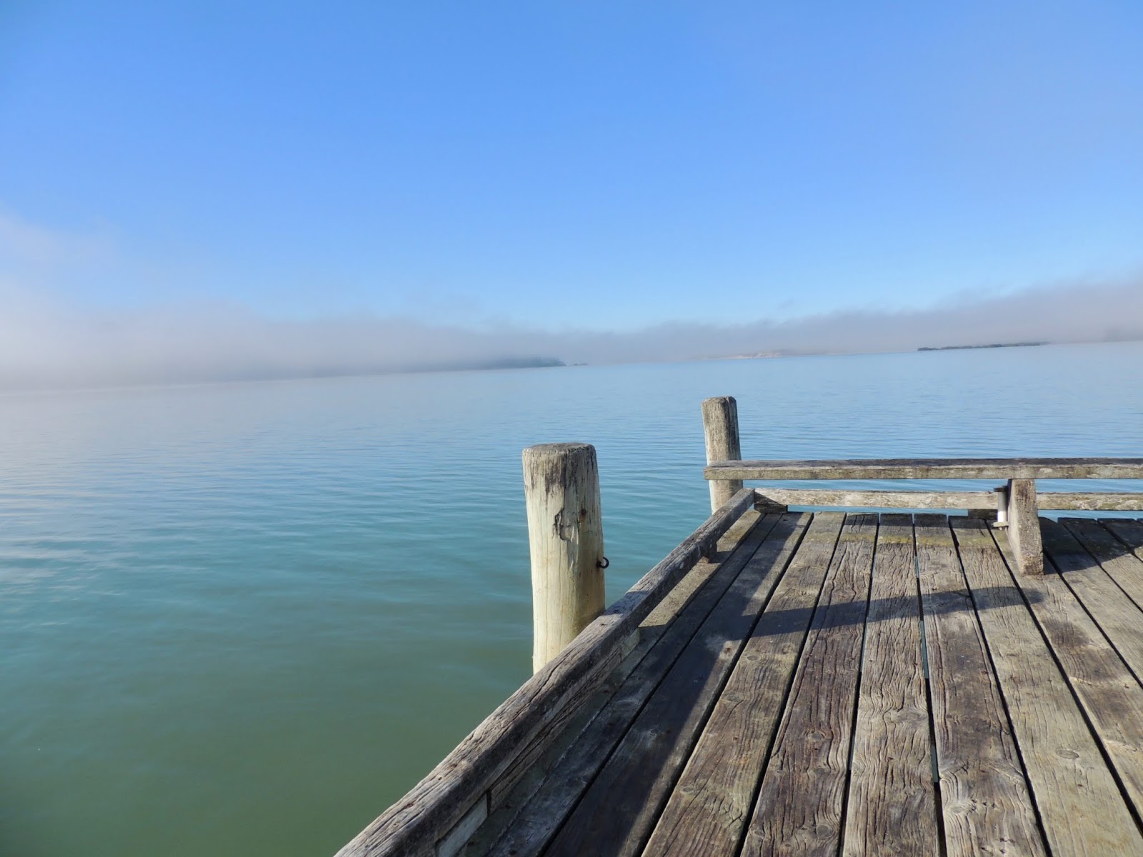 THE ROAD TAKEN : Pahi Beach Holiday Park on Kaipara Harbor