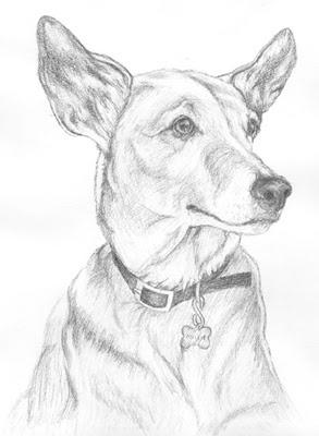 Most Beautiful Drawing in the World: How to draw a dog