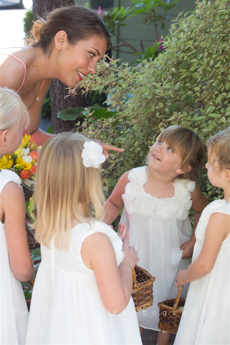 Terry Way Photography Santa Cruz Photographer: Bargetto Winery Wedding ...