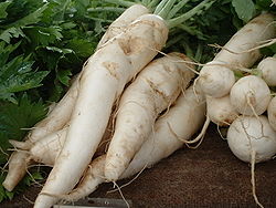 Manfaat dan Khasiat: Khasiat Lobak Putih