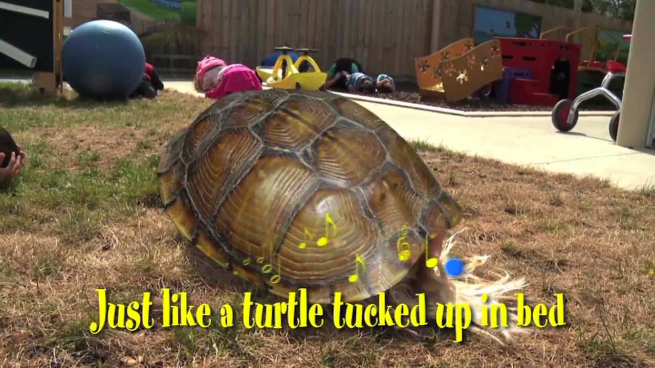 Creative Minds: Purple Room: Earthquake Safety