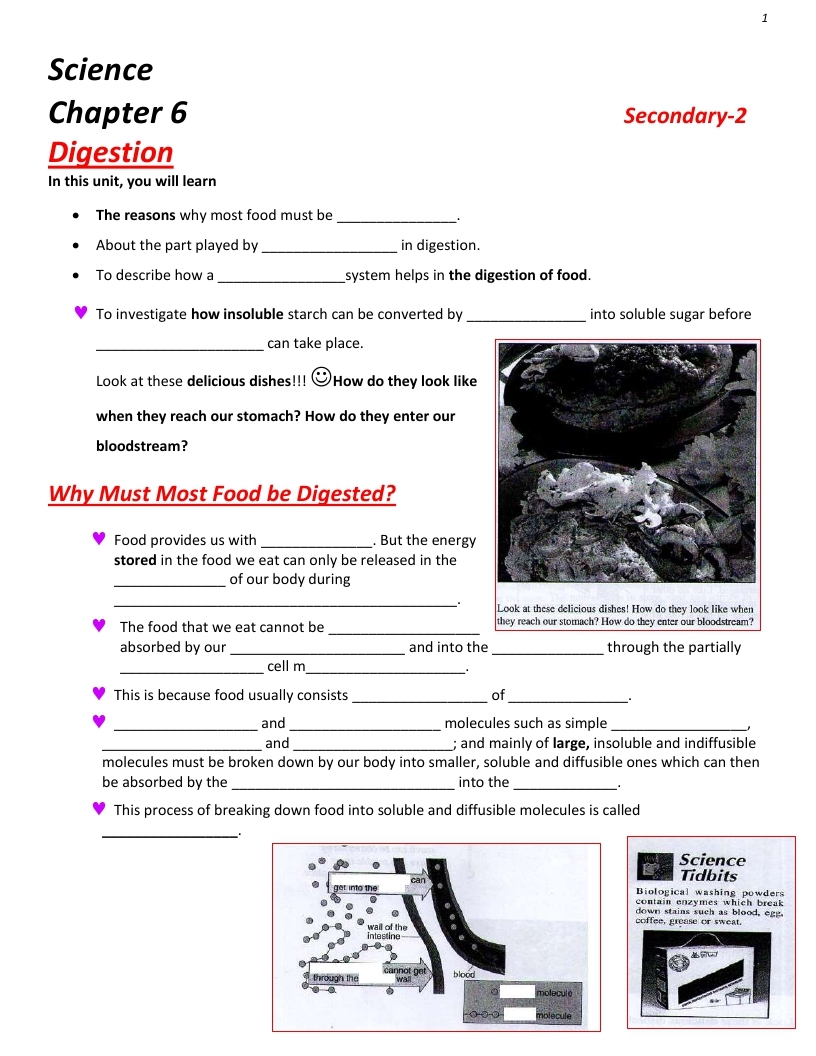Secondary Two (Science notes and exercises): Science Chapter (6) Notes ...