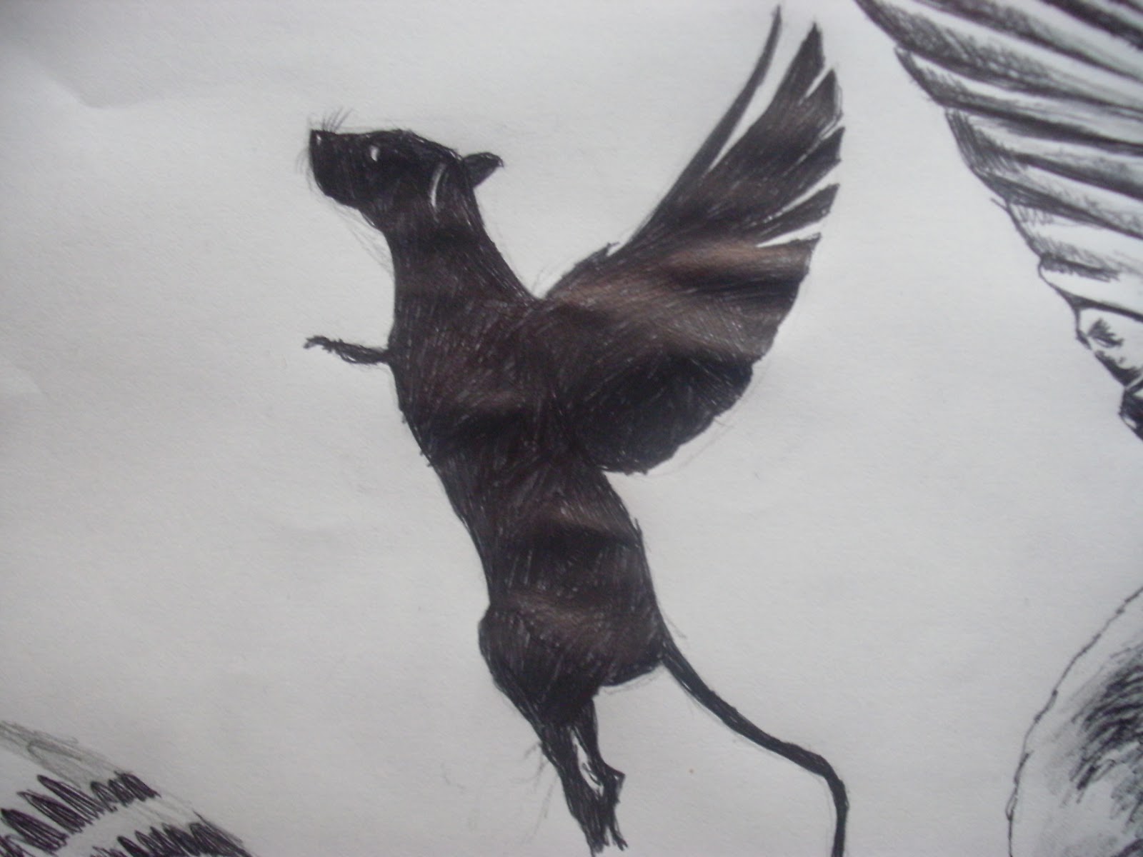 The Plain Clothes Clown: Flying Rats