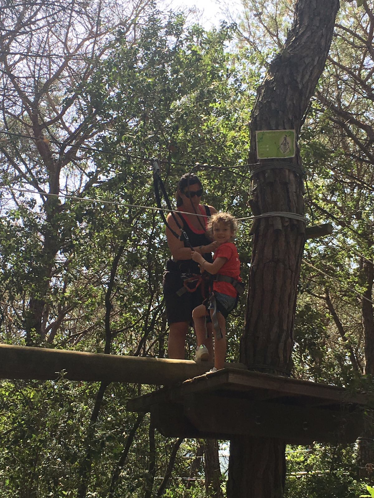 El Bosc Vertical Dosrius (Grans)