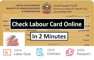 Check UAE Labour Card Online (Card+Contract) - UAE Labours Blog