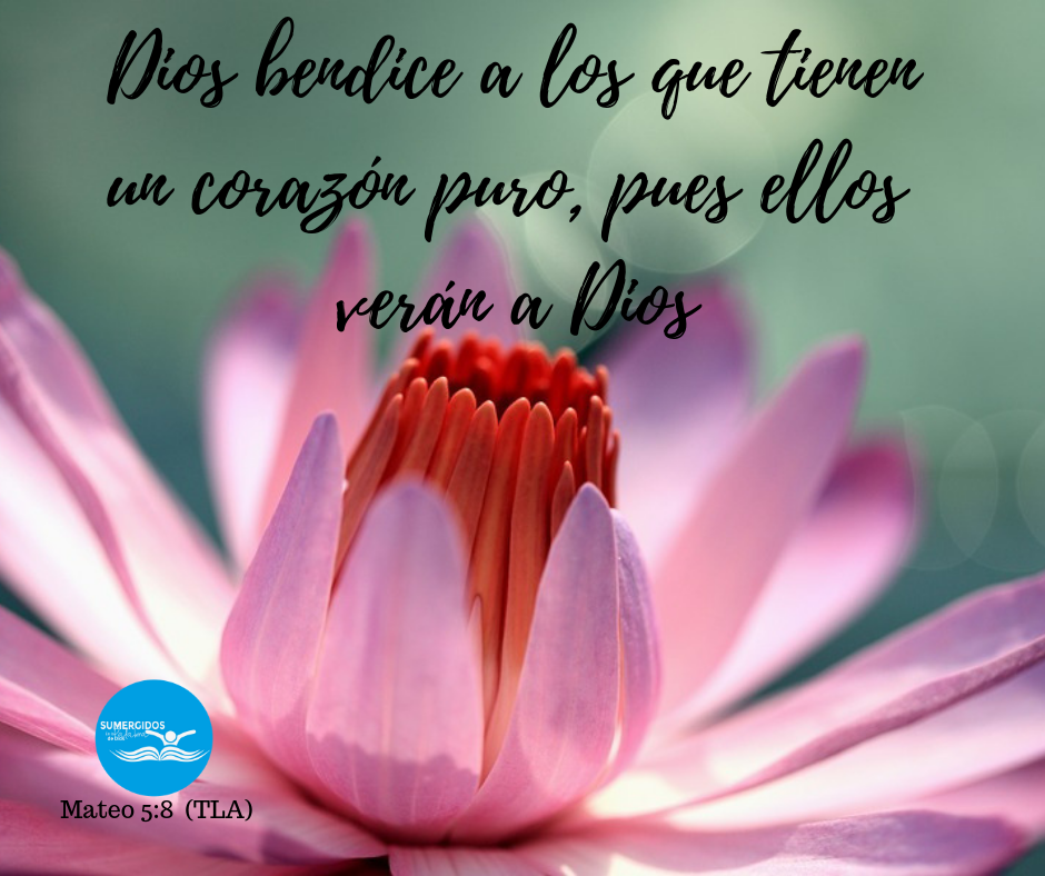 Mateo 5:8 A los de Corazon Puro Dios los Bendice!!