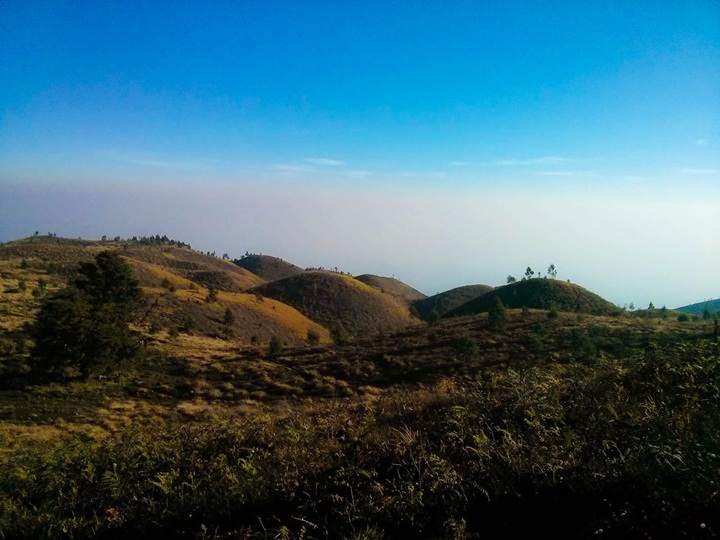 Info Pendakian Gunung Prau