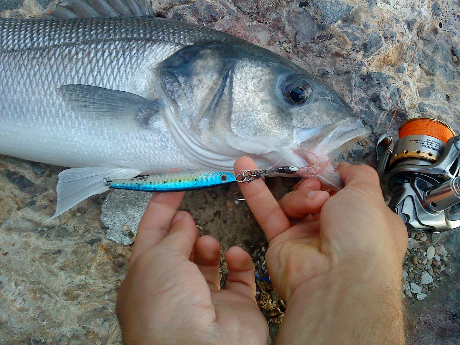 El loco del Fraile: Una de Jig Casting