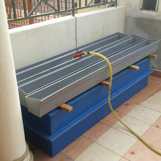 Affnan's Aquaponics: Potted Media Base Gutter Growbed Siphon Flood & Drain.