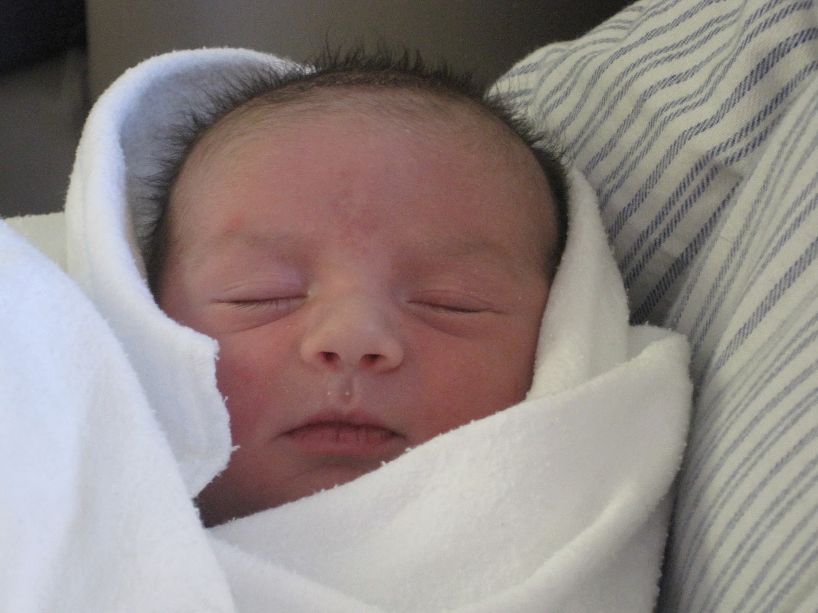 thoughts, musings & the odd butterfly along the journey: Welcome to the ...