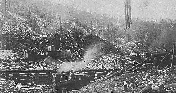 WV Rails and Wood: Early Logging in West Virginia