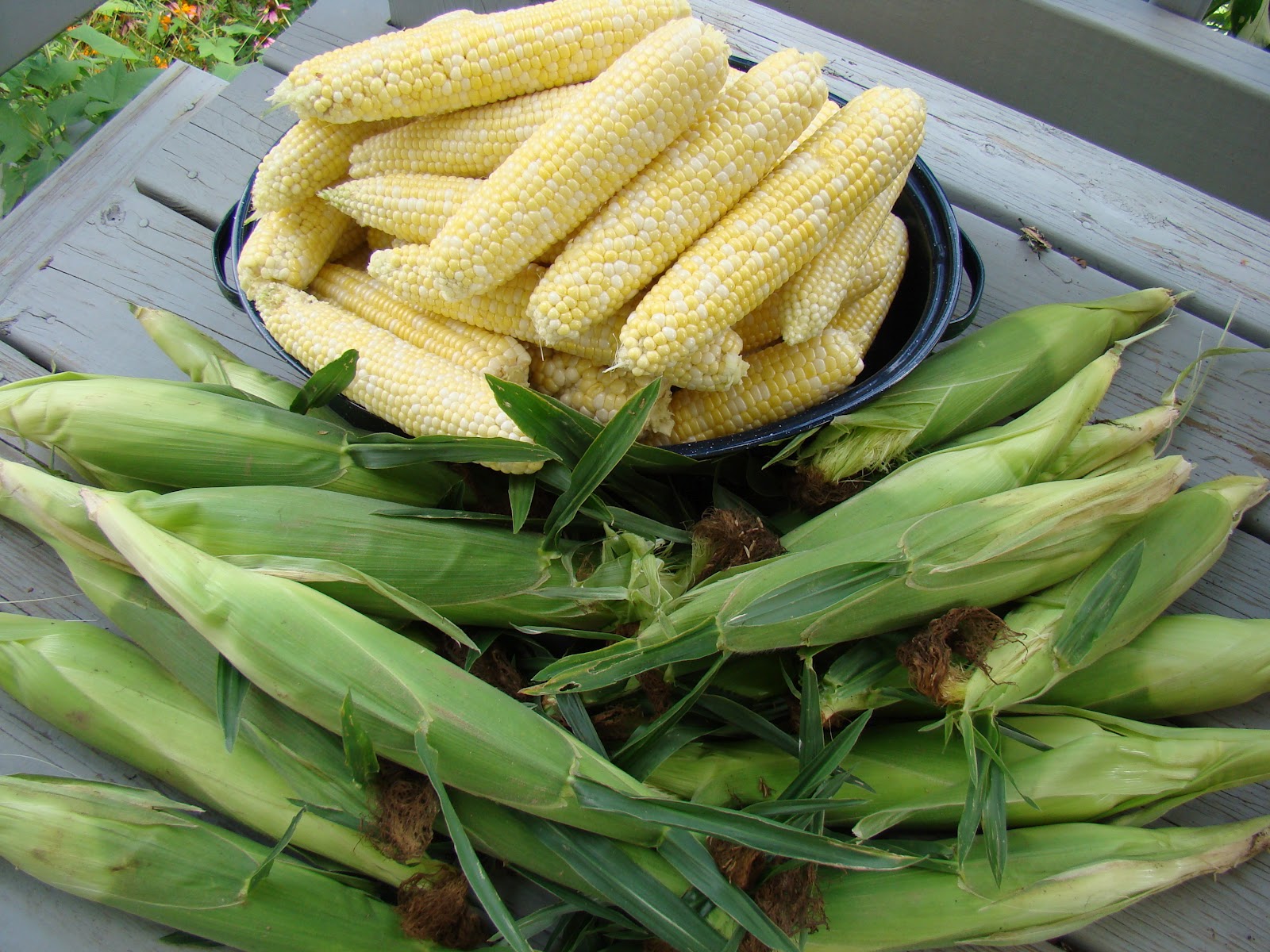 Gap Mountain Garden: Corn Cobbin'