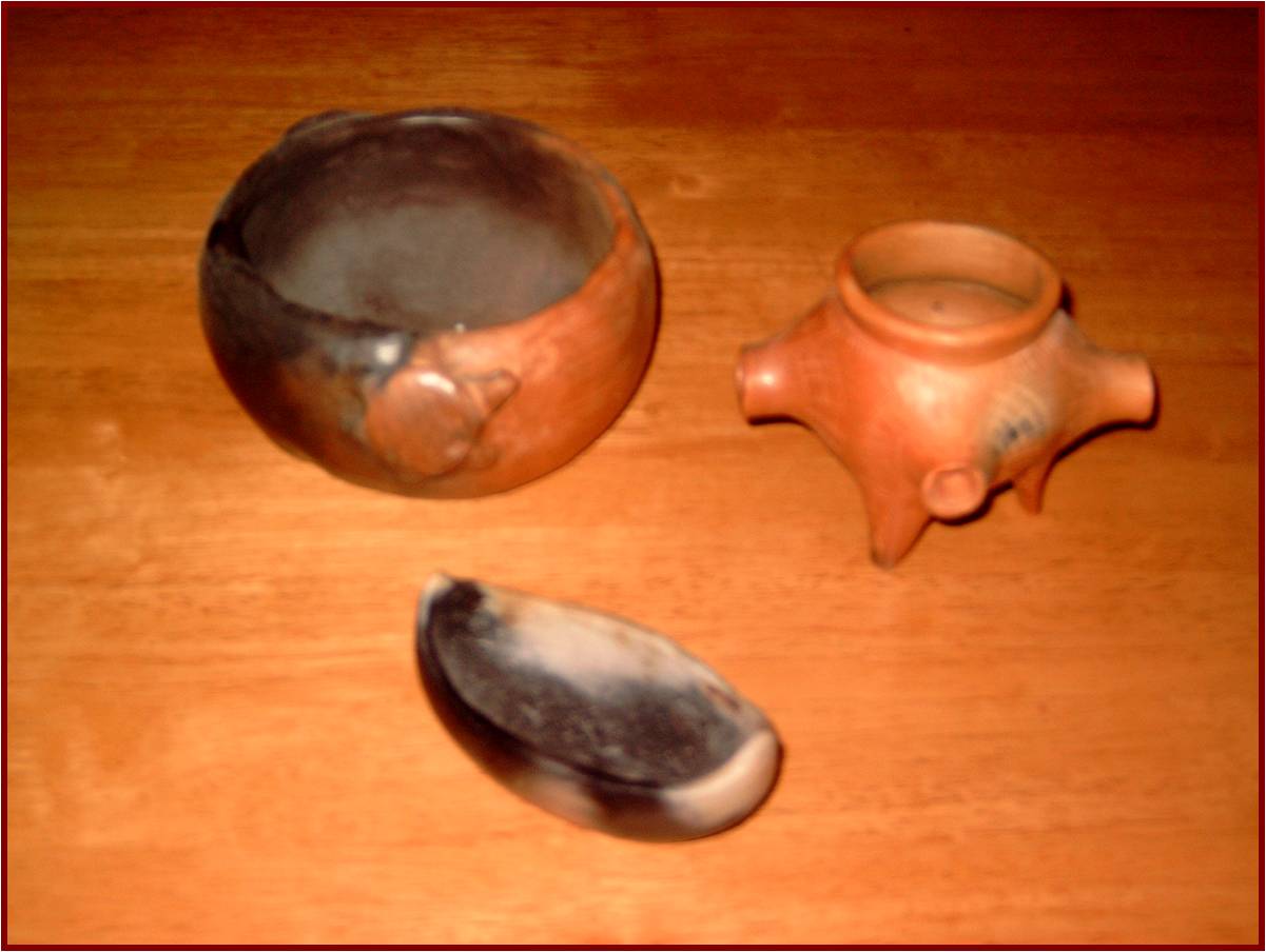 Archaeological Society of South Carolina (ASSC): USC Lancaster Hosts ...