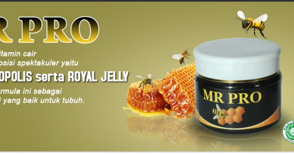 MR PRO (Madu Penggemuk Badan) - Stokist HWI - Solusi Praktis & obat ...