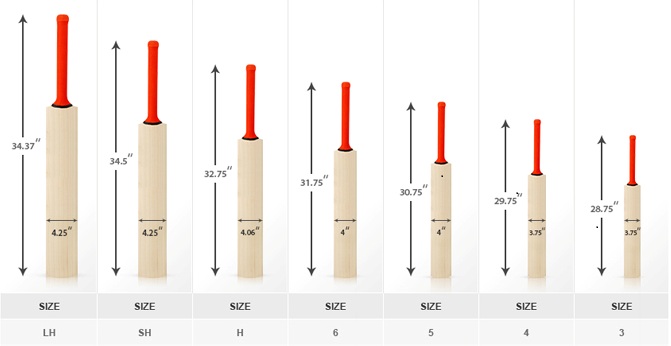 GISTU TODAY: जानिए क्रिकेट खेल मे इस्तमाल होने वाले बॅट के बारे मे ...
