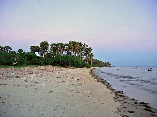 Tamilnadu Tourism: Sethu Karai, Thirupullani