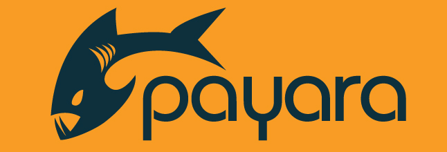 Payara Server una alternativa interesante!!! ~ MARCO TOSCANO FREIRE