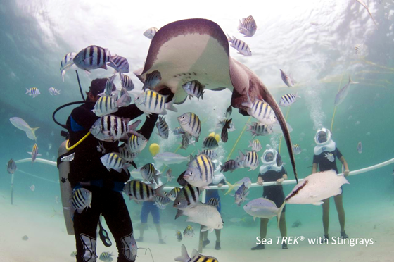 Sub Sea Systems - Our World: Sub Sea Systems Announces the 2014 Sea ...