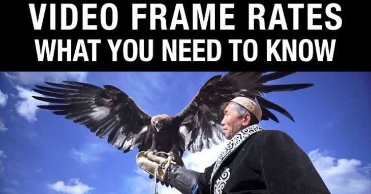 Video Frame Rates: What You Need to Know - Photography Blog Tips - ISO ...