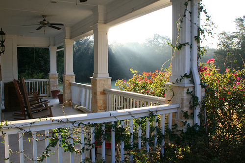Redneck Haiku: Life in Poetry... Texas