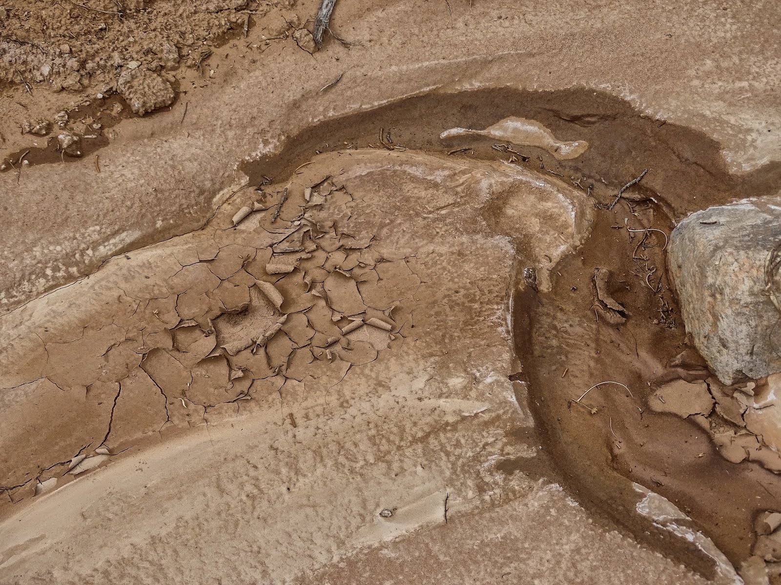 Walking Arizona: Dried Mud Still Life